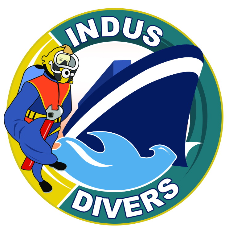 The Indus Entrepreneurs Logo